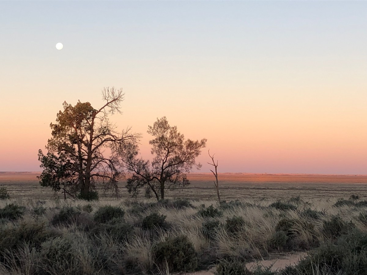 Mungo National Park | Big Red Bit